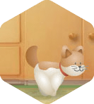 Net Pet | Free Games Tastyplay.com